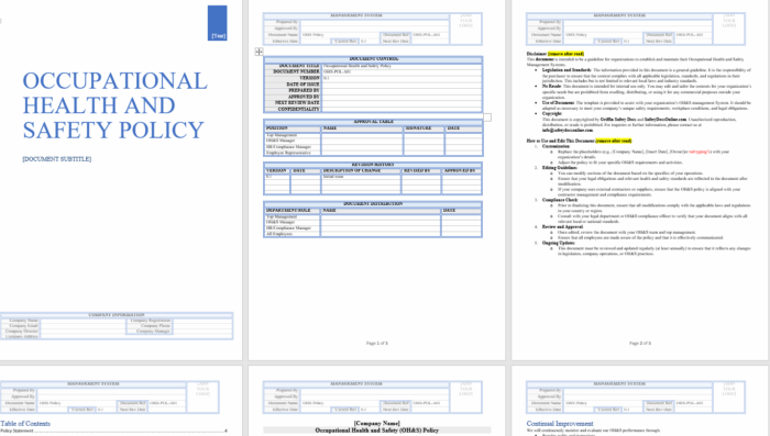 ISO Policy Templates Ready to Use – Griffin Occupational Health and ...